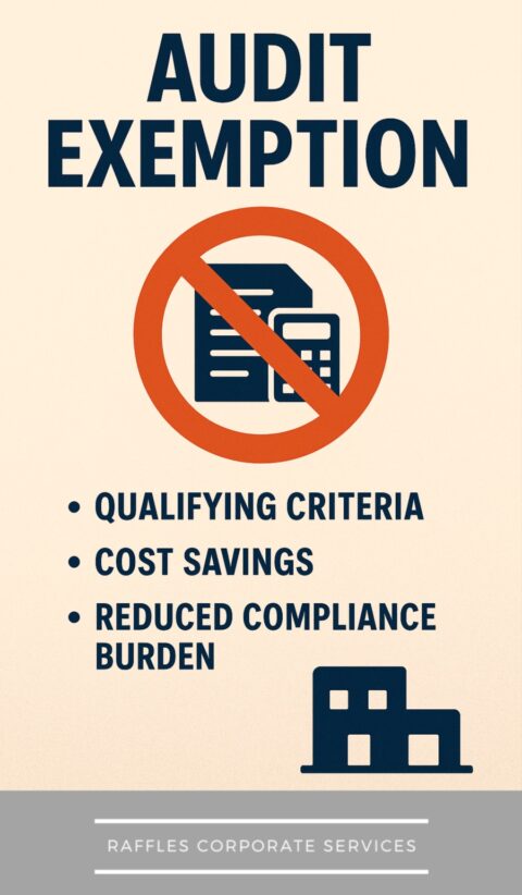 Singapore Audit Exemption: Section 205C Small Company Guide